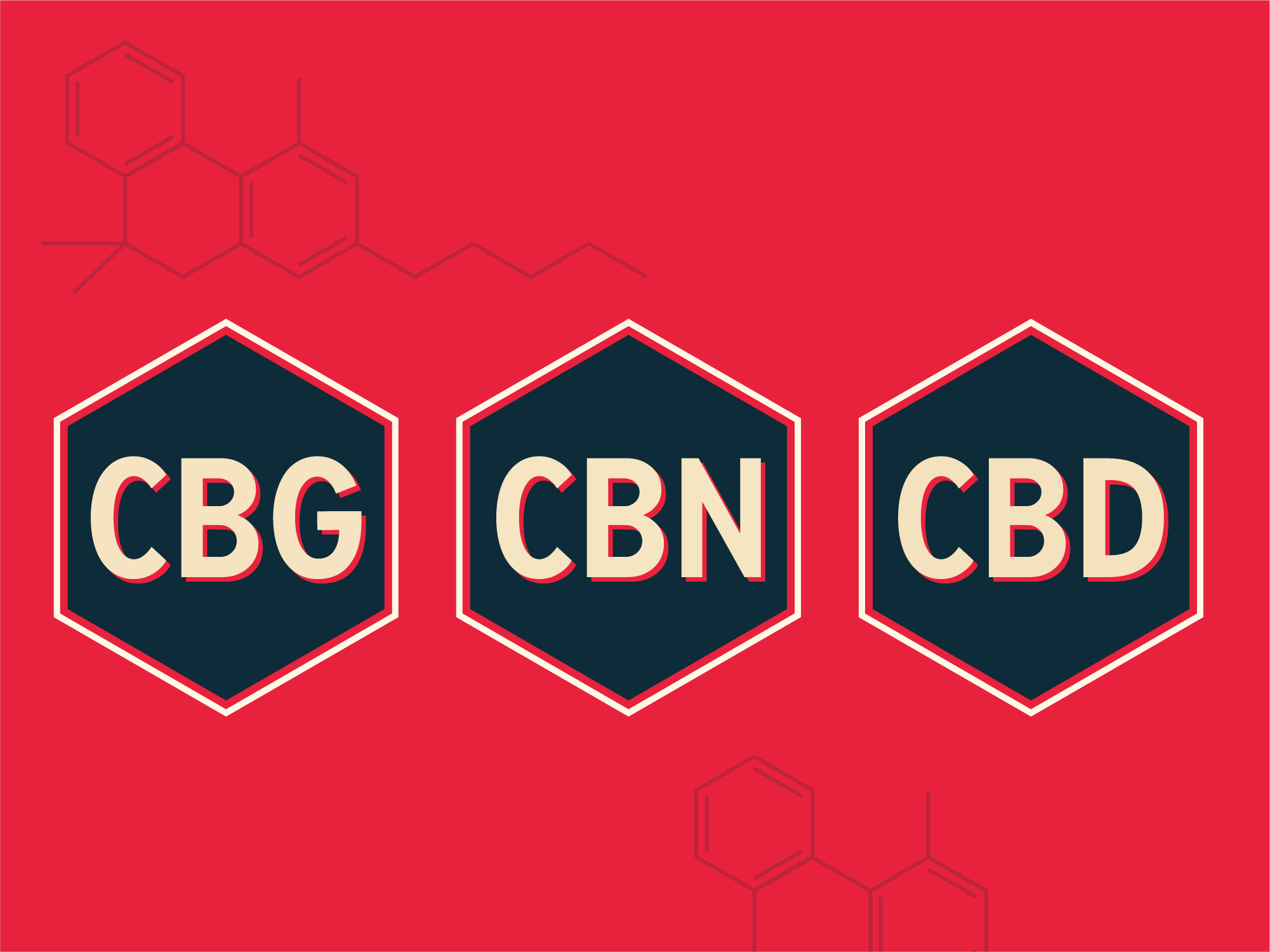 CBG vs CBN vs CBD: Effects & When to Use | Aunt Mary’s NJ
